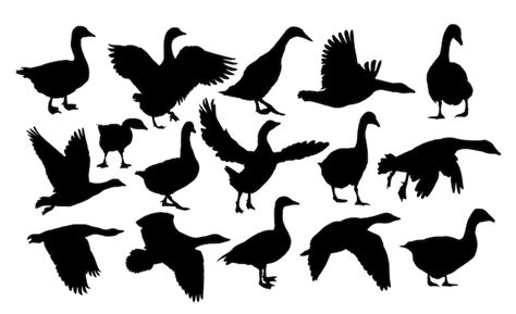 Premium Vector The Set Silhouettes Of Geese