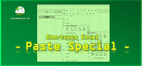 Paste Special Excel Excelmaniacs
