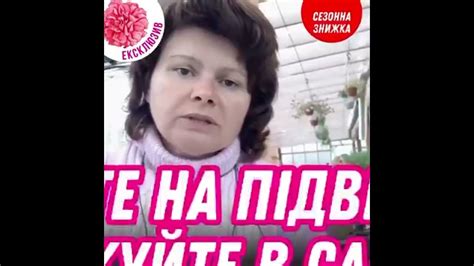 Гвоздика 1 Youtube