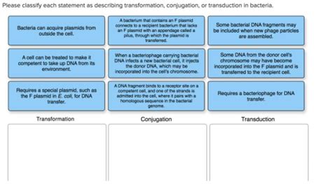 Solved Please classify each statement as describing | Chegg.com