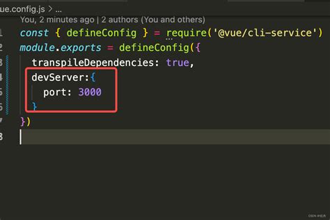 Vuecli 自定义配置