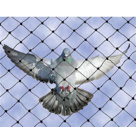 Nylon Bird Control Netting Packaging Type Polybag At ₹ 4sq Ft In New