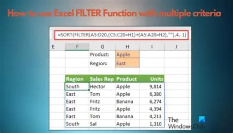 how to use excel filter function with multiple criteria