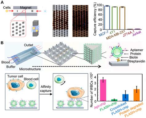Microfluidic Based Isolation Of Circulating Tumor Cells With High Efficiency And High Purity