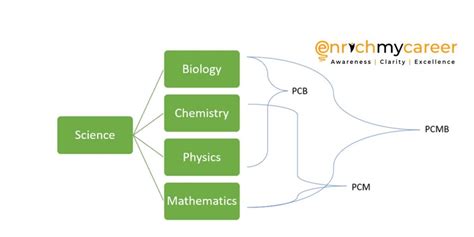 Stream Selection After 10th Class Science Commerce Or Arts