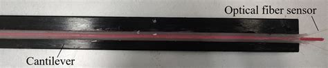 The Layout Of The Distributed Optical Fiber Sensor On The Cantilever Beam Download Scientific