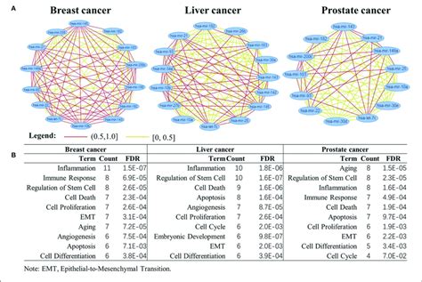 Biological Function Analysis Of The Top 20 Mirnas A Mirnas Download Scientific Diagram