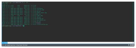 php url commands not activating visualizations · issue 2 · naztronaut