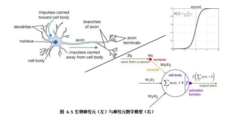 一文速览 机器学习 的类别