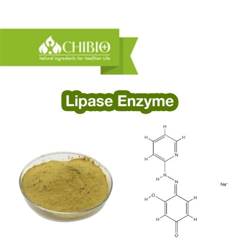Lipase Enzyme Supplier 500 Fip Ug And 50000 Ug Food Feed Biotech Use Chibio Biotech