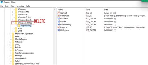 Fix Can T Leave Windows Insider Program