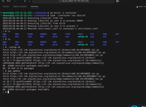 Building A Containerized Environment From Scratch With Go Lang By Chidi Augustine Nwakpa Medium