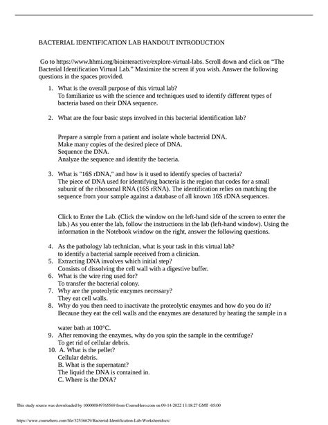 SOLUTION Bacterial Identification Lab Worksheet Docx Studypool