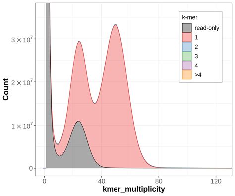 Different Hifiasm Versions Yield Large Differences In Haplotype