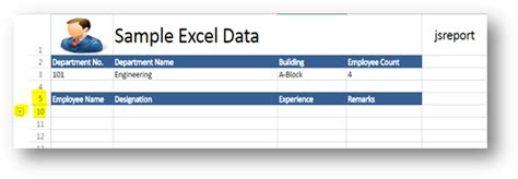 Different Formats In Report Generation Using JSReport Server