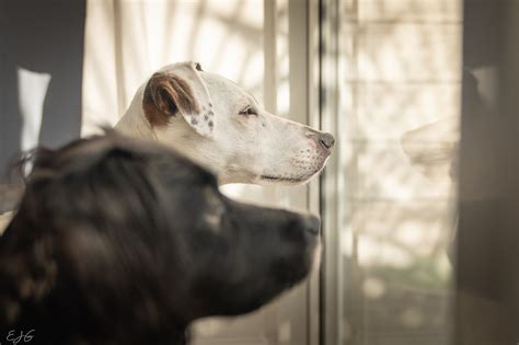 Emma Grant Photography Added A Emma Grant Photography