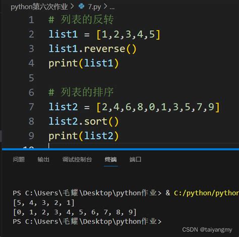 Python编程挑战：基础操作与算法问题 Csdn博客