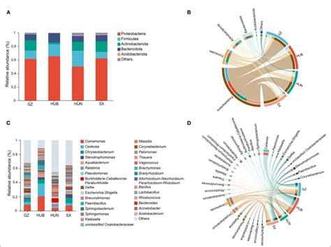 Figure E Taxonomic Composition Of Endophytic Bacteria In Ec Of Diierent Download Scientific