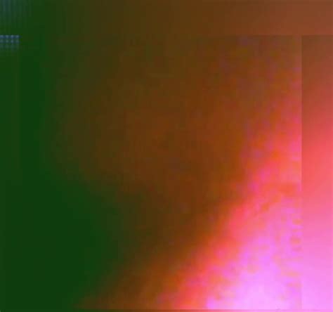 Bbw Doggystyle Xhamster