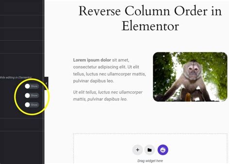 Reverse Column Order In Elementor On Mobile 3 Steps Wpbuilt