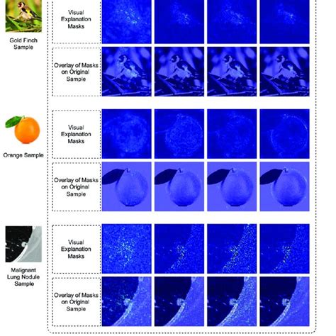 Demonstration Of Expected Results For The Implemented Xai Methods Using Download Scientific