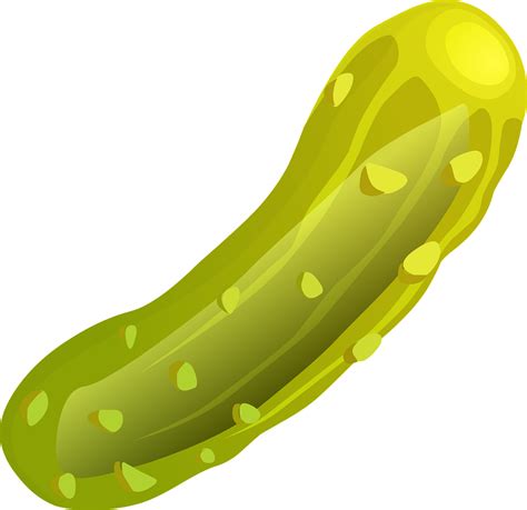 Free Cucumber Vector Art Download 36 Cucumber Icons Graphics Pixabay