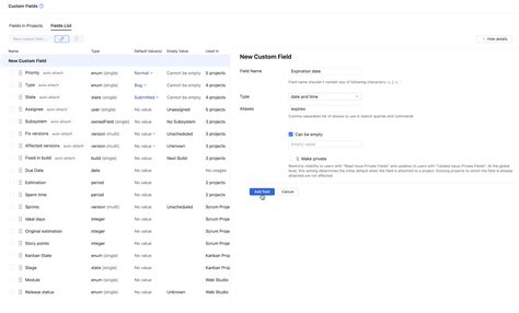 Create And Edit Custom Fields Youtrack Server Documentation