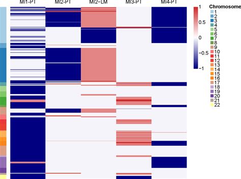 The Copy Number Variations Of Primary Tumors And Liver Metastasis Pt