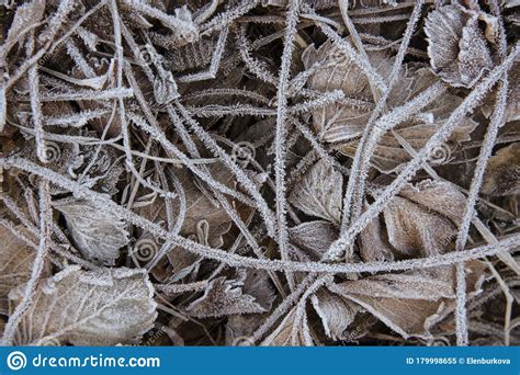 Texture Strawberry Jam Food Theme Background Royalty Free Stock Image