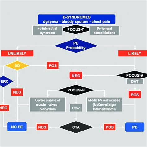 Pulmonary Embolism Pocus Algorithm Non Critical Presentation
