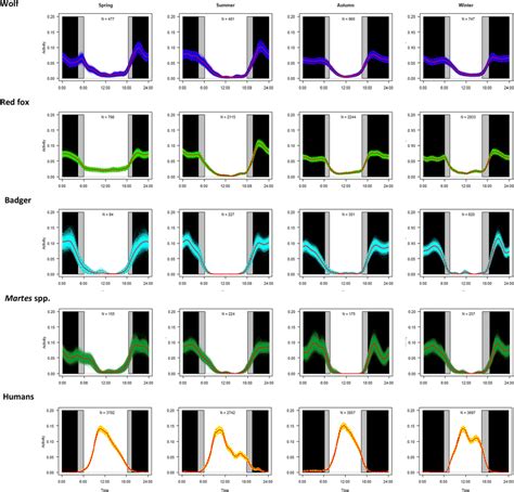 Temporal Activity Patterns Of The Wolf Red Fox Badger Stonepine