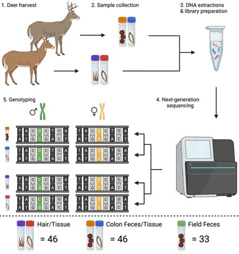 Paired Sampling Strategy Demonstrating The Transition From Noninvasive Download Scientific