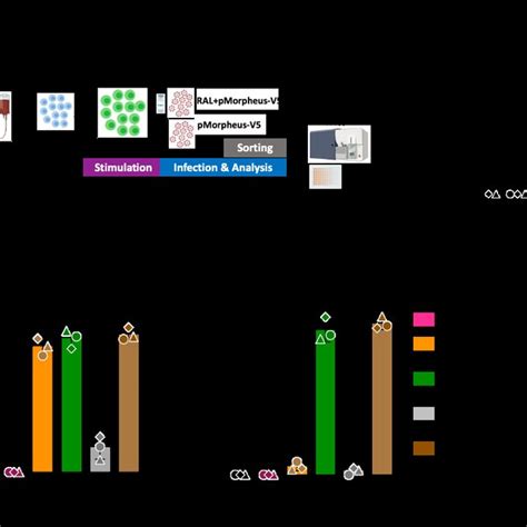 Quantification Of Proviruses And Multiply Spliced Hiv Transcripts In