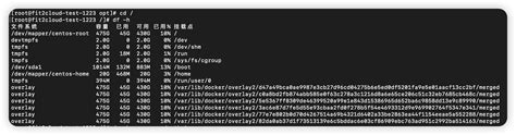 【常见问题】排查dataease服务器磁盘空间占用情况并清理 fit2cloud 知识库