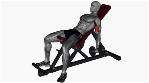 Alternate Inclined Dumbbell Curl 1000 Free Workouts Fitness