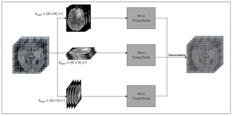 dualtrans a novel glioma segmentation framework based on a dual path encoder network and multi