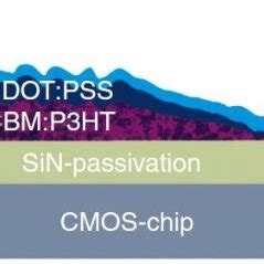 Structure Of Hybrid CMOS Detector Copyright Nature Download Scientific Diagram
