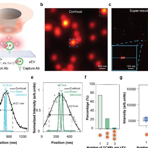 Schematic Illustration Of Upconversion Nanoparticles Ucnps For The