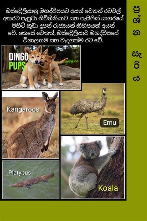 ලොව කුඩාම මහද්වීපය කුමක්ද Youtube