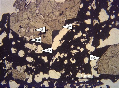 6 Showing Vesicular Texture Download Scientific Diagram