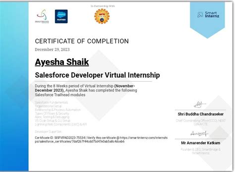 Internshipexperience Ayesha Shaik