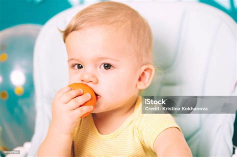 그의 의자에 앉아 맛있는 귤이나 오렌지를 먹는 귀여운 아기 소년 큰 눈 초상화와 생일 잘 생긴 유아 아이 귀여운에 대한 스톡 사진 및 기타 이미지 Istock