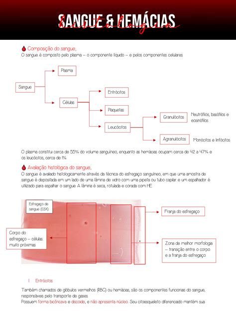 SOLUTION: Histologia do tecido sanguíneo - Studypool