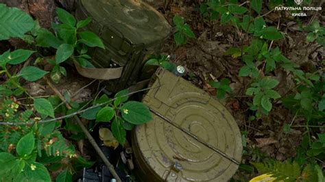 У Києві чоловік під час прогулянки знайшов кулемет та набої до нього фото Фото Судово