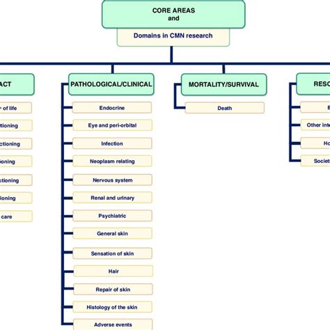 Core Areas And Domains Download Scientific Diagram