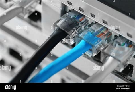 Ethernet Cables Connected To Network Switch Close Up Stock Photo Alamy