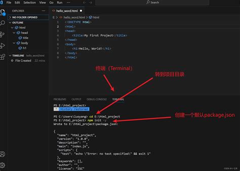 我的第一个前端（vs code node lite server简易服务器，npm 运行）