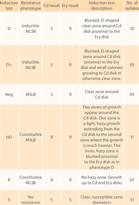 Characteristics Of Clindamycin Induction Test Phenotypes As Tested By Download Scientific