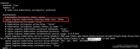 Vue中通过minio上传文件在vue中minio上传文件（stream流和链接） 1、minio的安装 直接使用npm 掘金