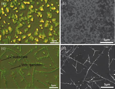 A Photograph Of Few Layer Ws 2 Nanoplates On The Sio 2 Si Substrate Download Scientific
